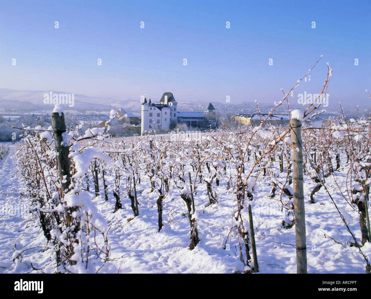 Nennig Stock Photos & Nennig Stock Images - Alamy