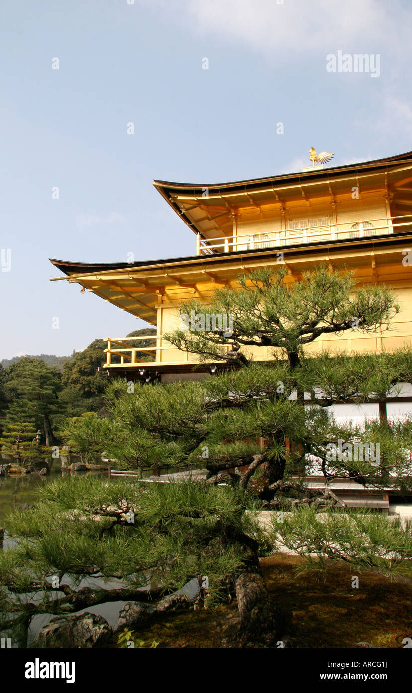 The Golden Pavilion Temple (Kinkaku-ji, Kinkakuji), Kyoto, Japan Stock ...