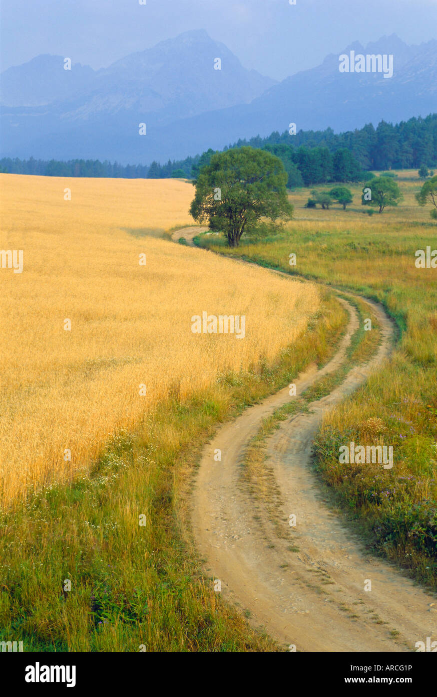Winding track, High Tatra range, Poprad, Slovakia, Europe Stock Photo ...