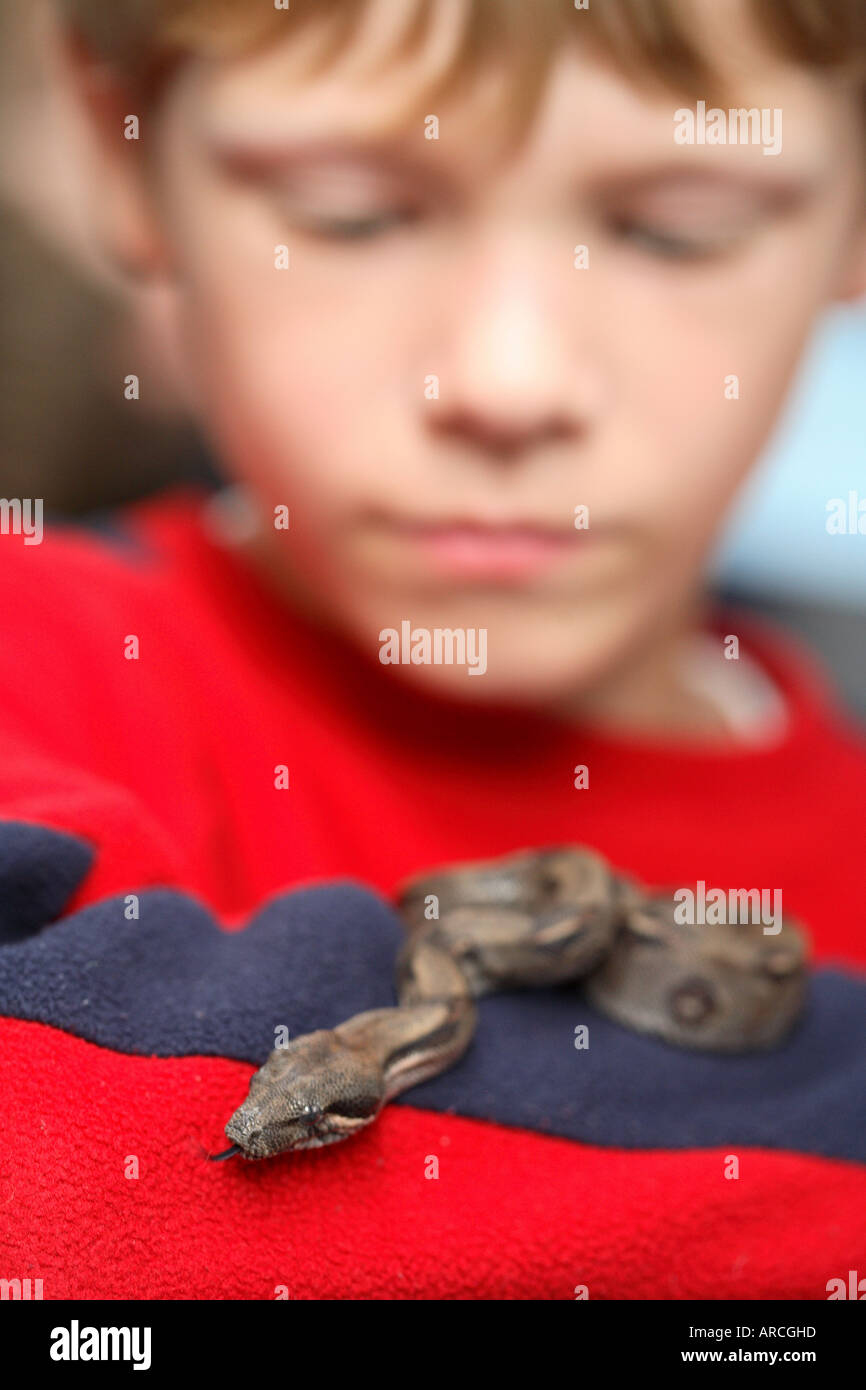 Boy with snake in hi-res stock photography and images - Alamy