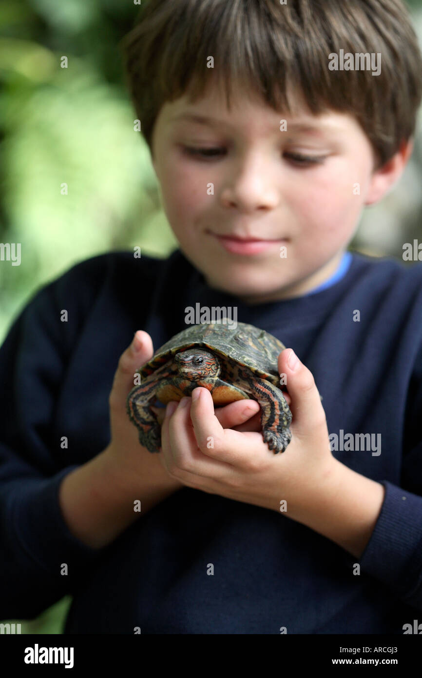Young boy with turtle in conservation nature reserve, on family ...