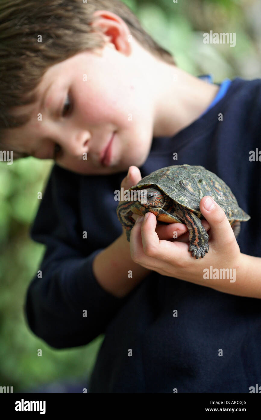 Young boy with turtle in conservation nature reserve, on family ...