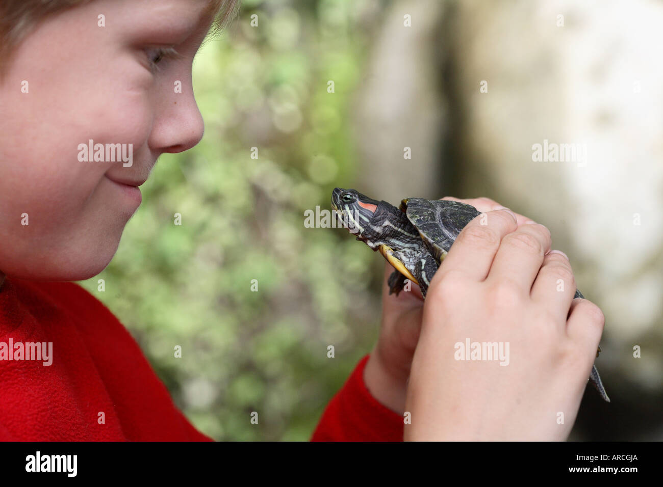Young boy with turtle in conservation nature reserve, on family ...