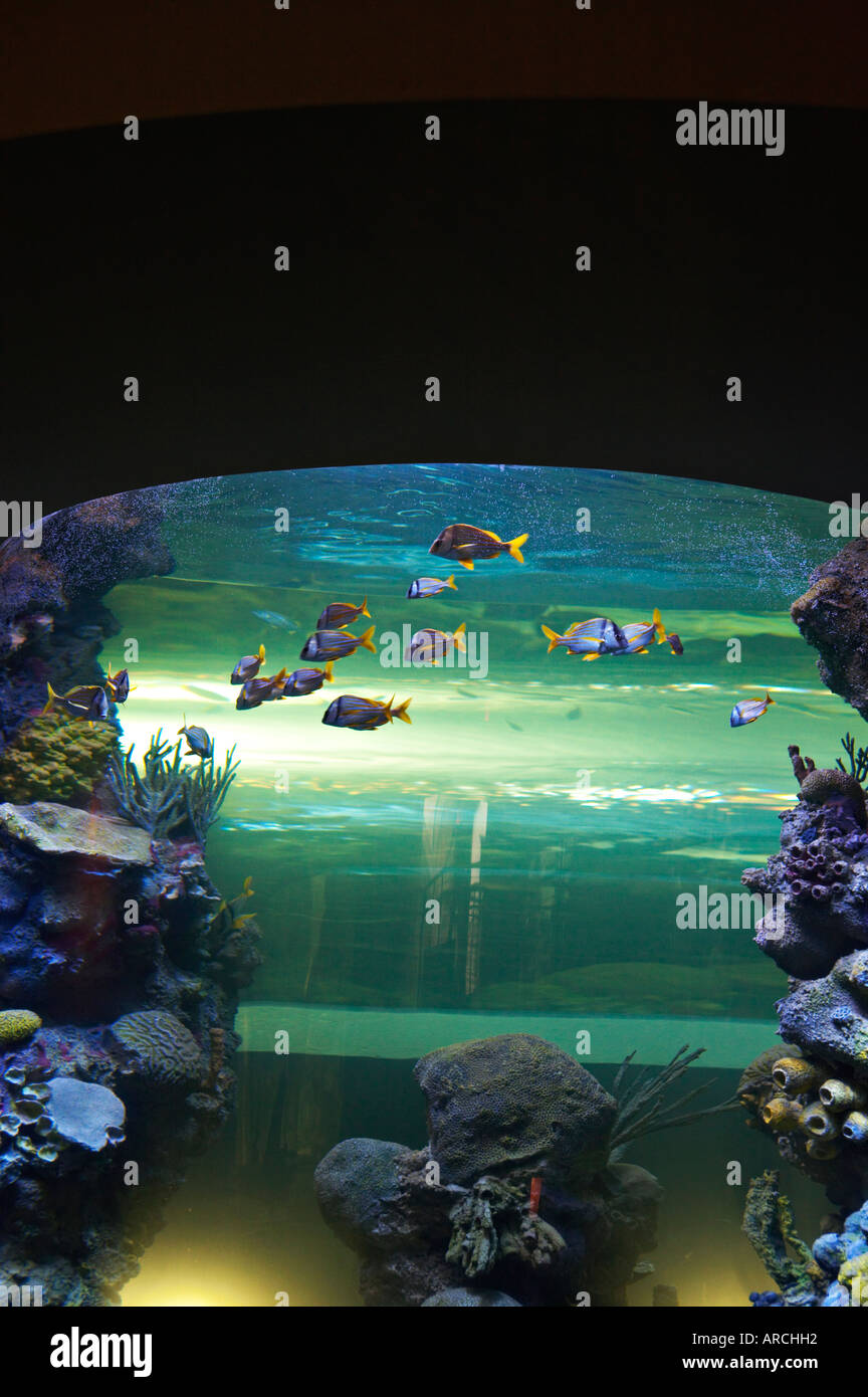 WISCONSIN Milwaukee Aquatarium exhibit at Discovery World museum at ...