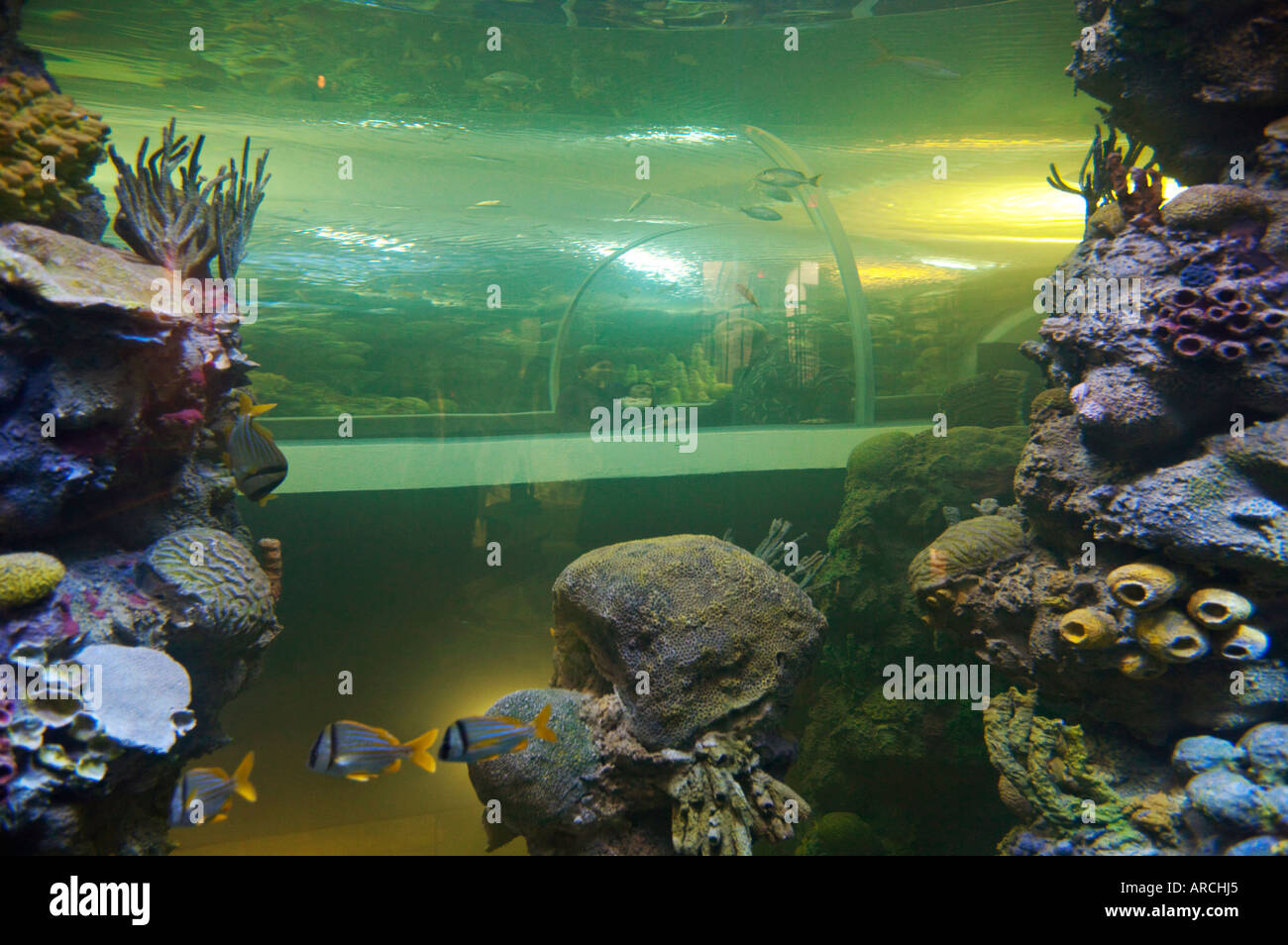 WISCONSIN Milwaukee Aquatarium exhibits at Discovery World museum at ...