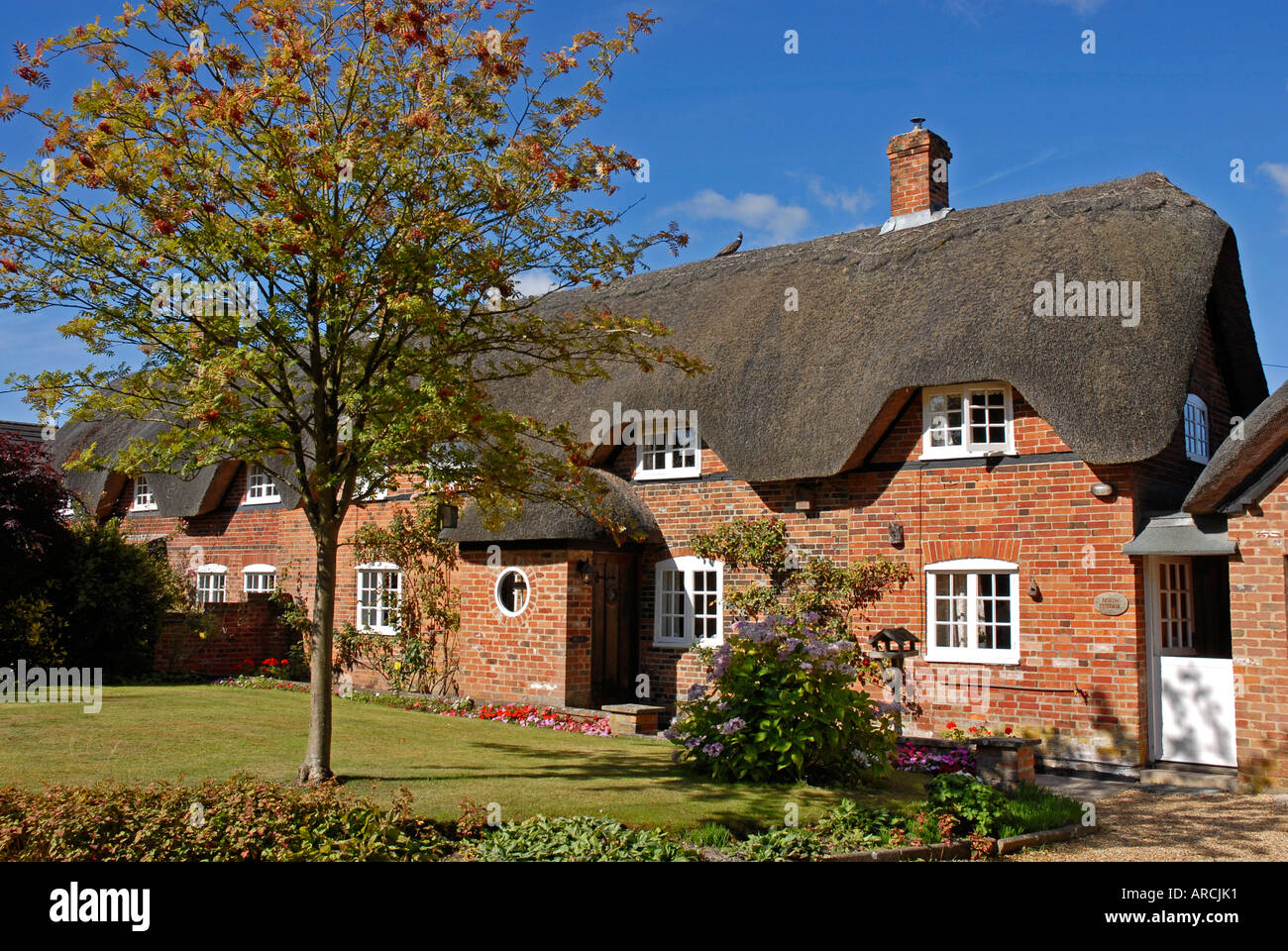 Thatched country cottage, brick built, with bright blue sky. Tree in ...
