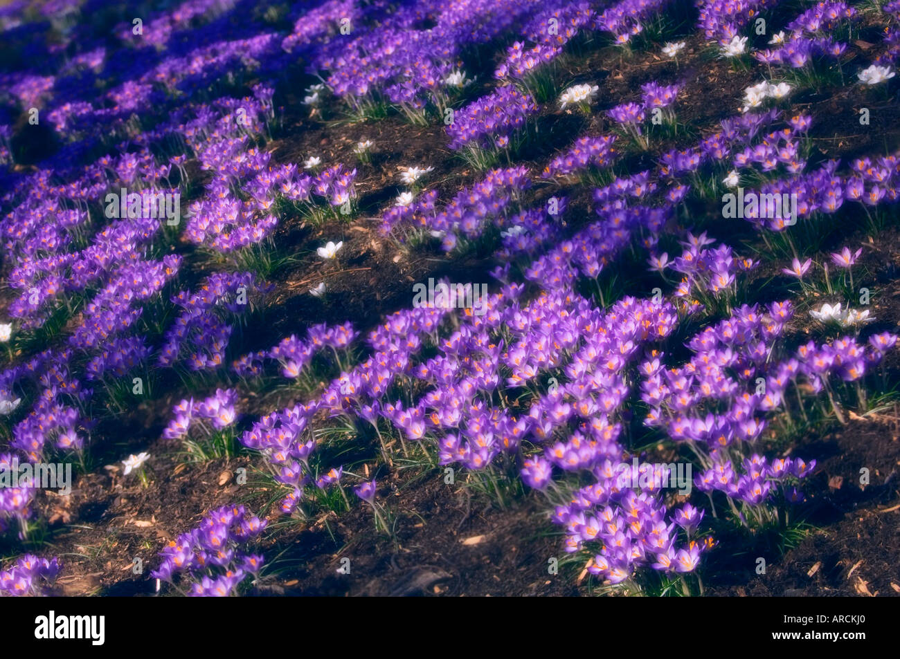 Non confirmity hi-res stock photography and images - Alamy