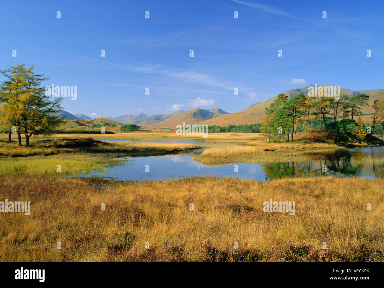 Strathclyde union hi-res stock photography and images - Alamy