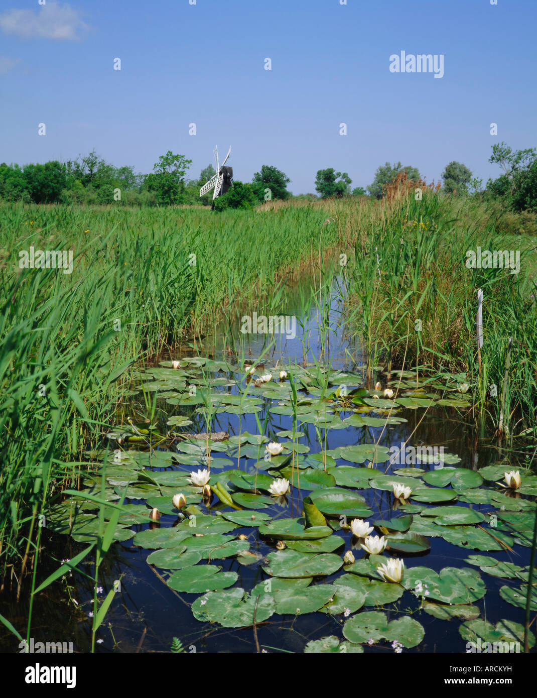 E fen hi-res stock photography and images - Alamy
