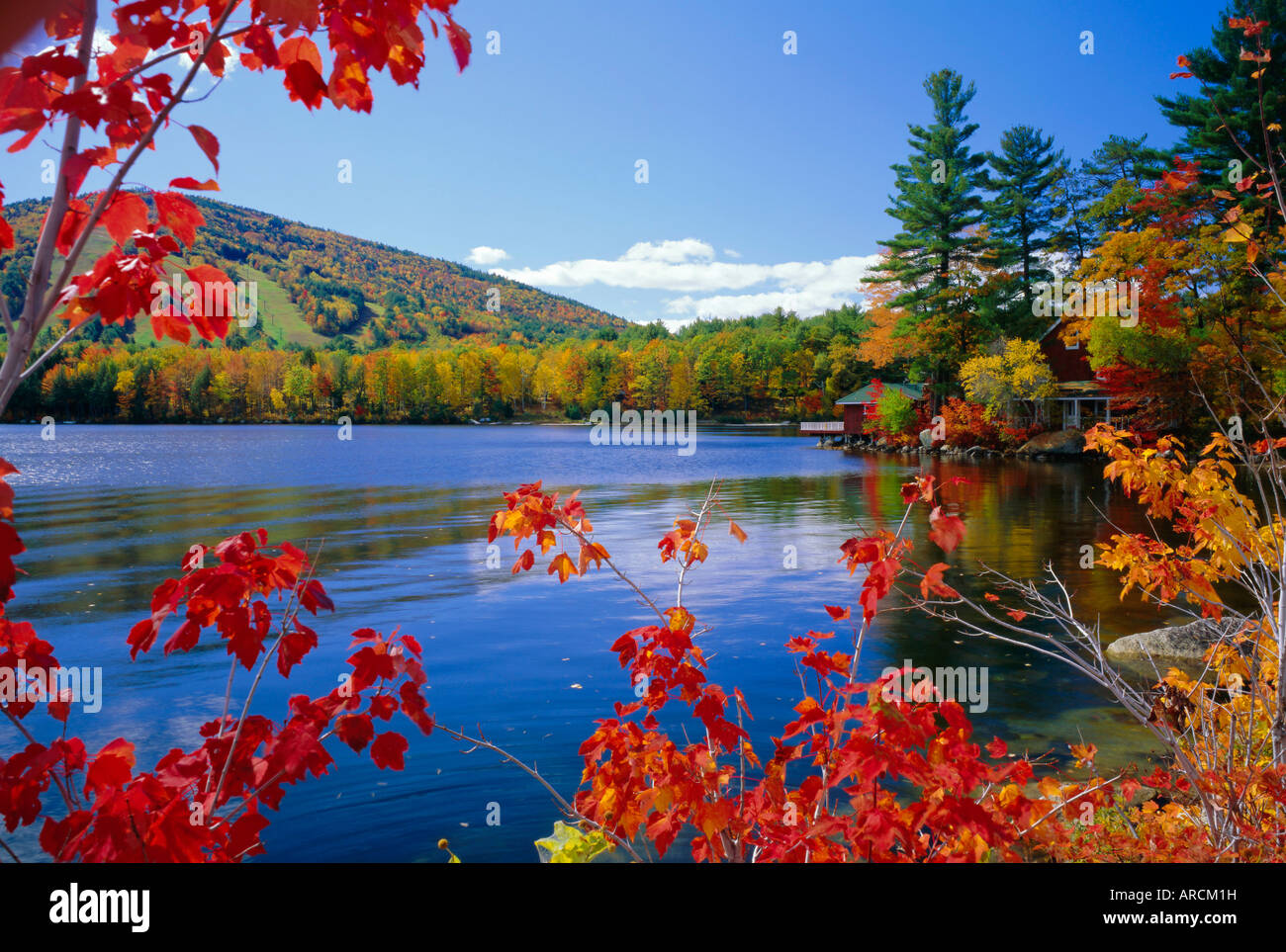 Moose Pond Maine