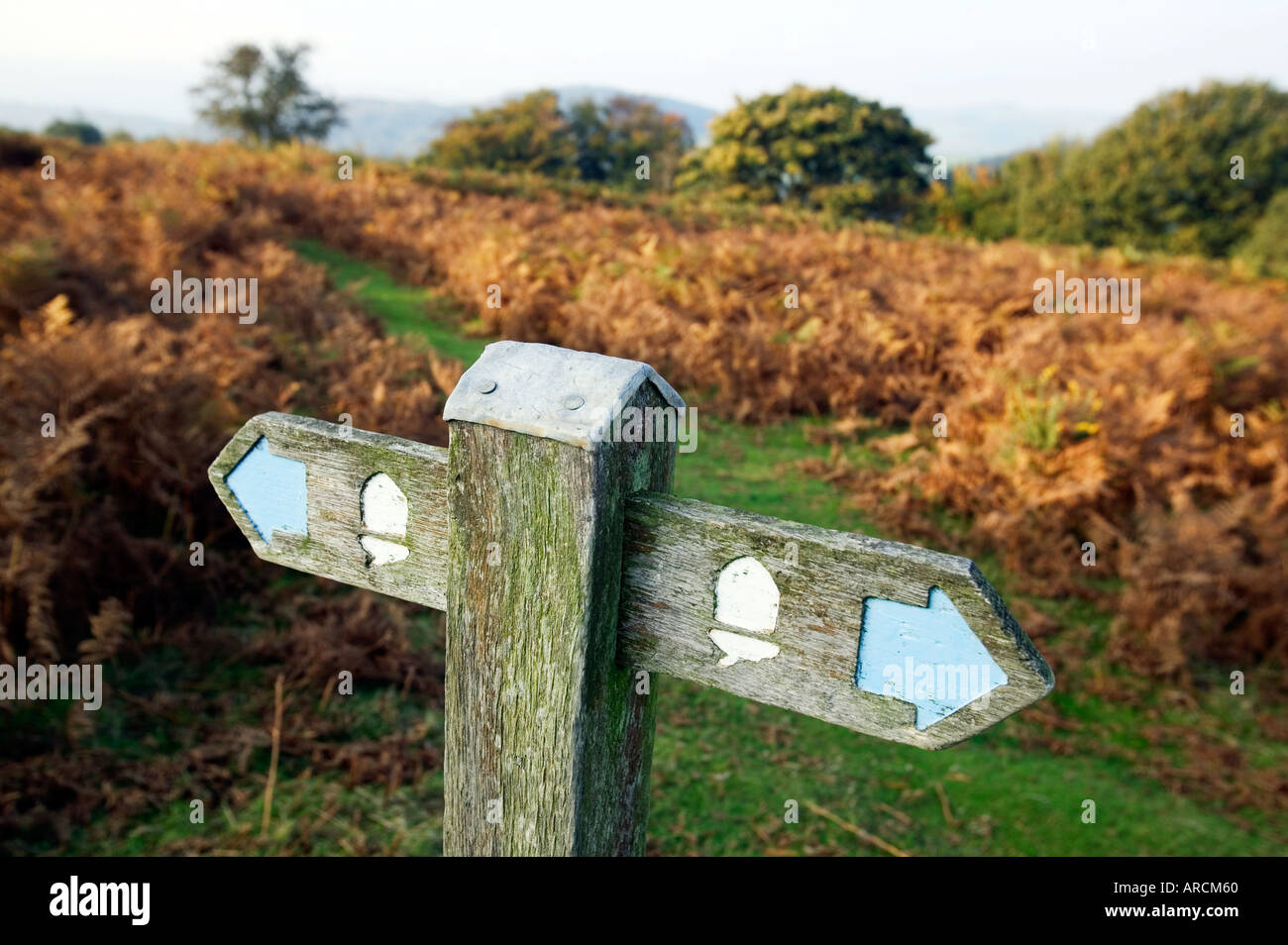 A footpath signpost on the Offa s Dyke Path on the English Welsh border ...