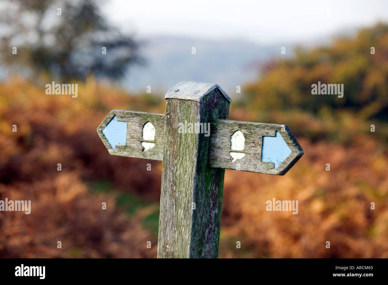 A footpath signpost on the Offa s Dyke Path on the English Welsh border ...