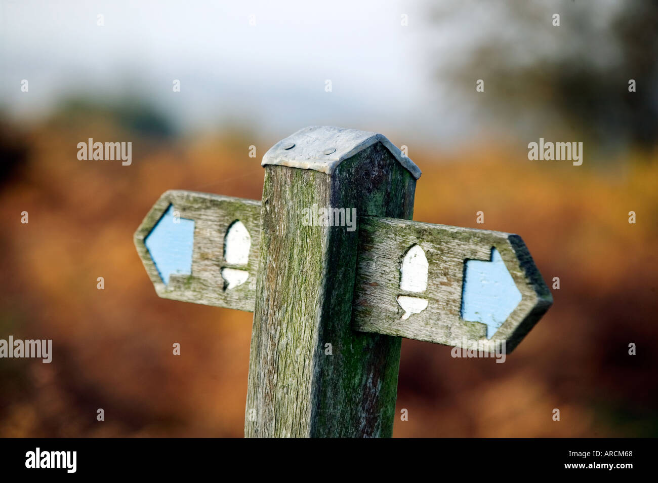 Offas dyke path sign hi-res stock photography and images - Alamy