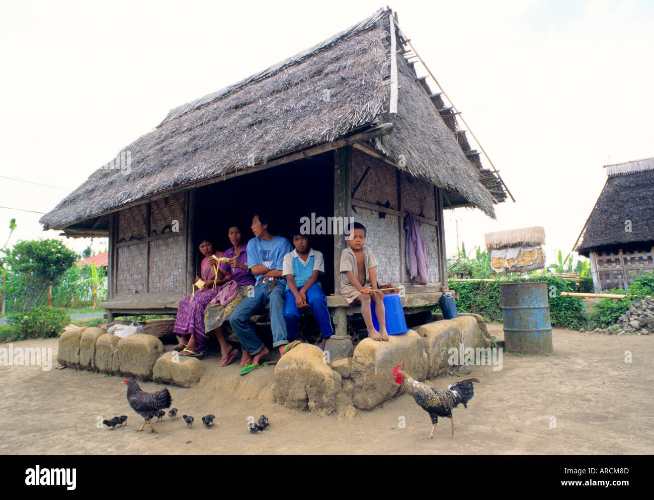 Farm typical, traditional, Minangkabau, house, native, architecture ...