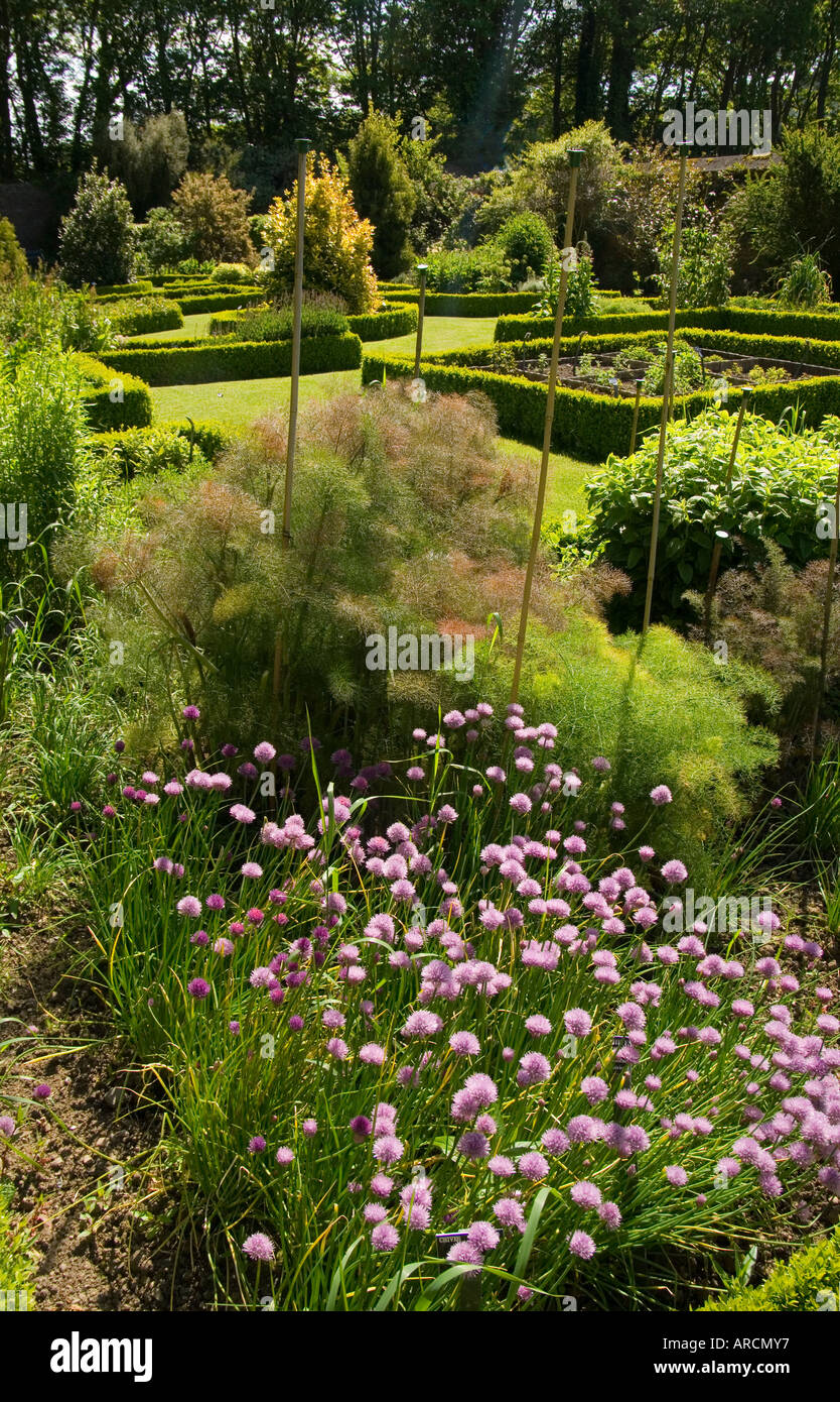 Victorian kitchen garden hi-res stock photography and images - Alamy