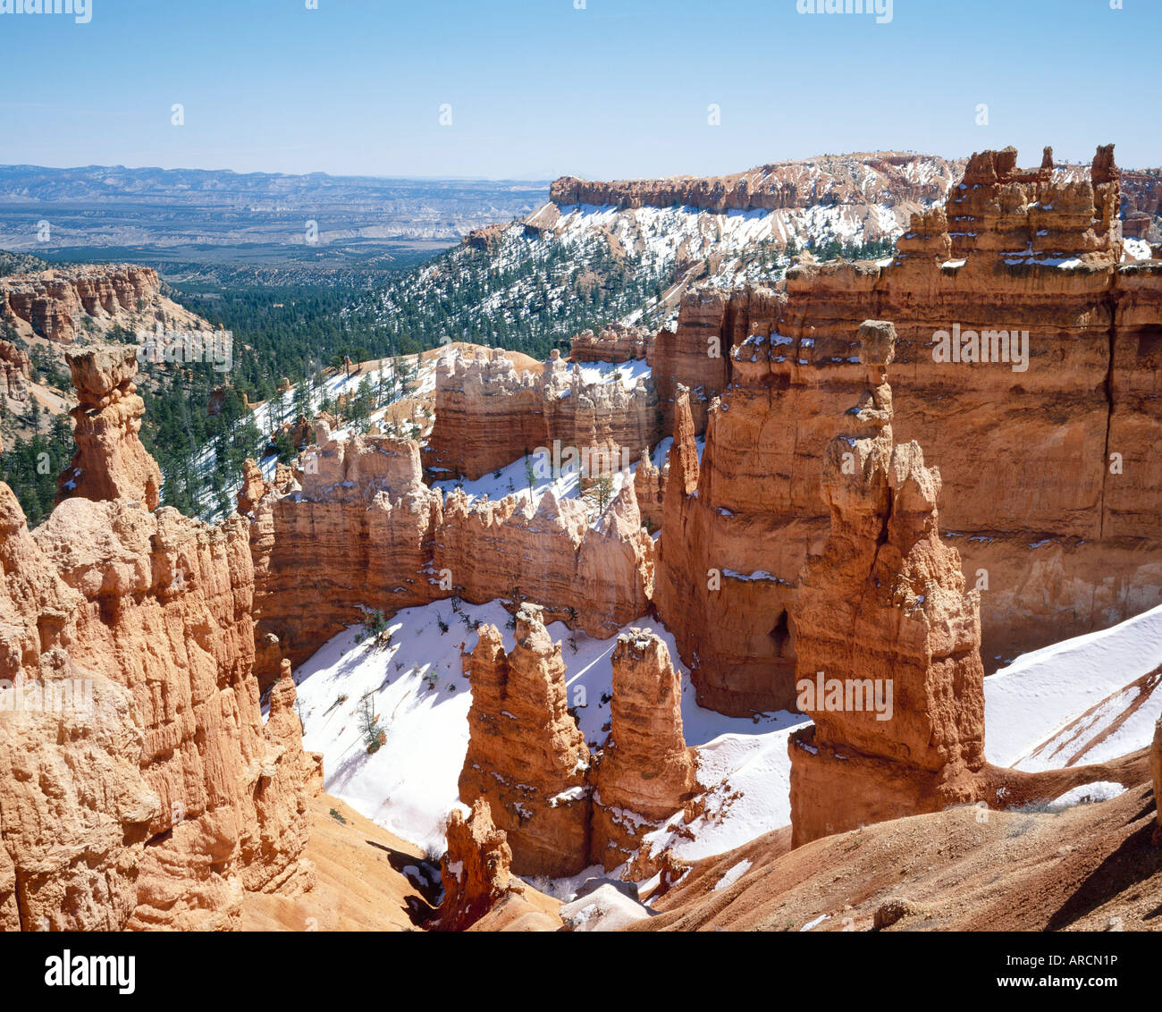 Pinnacles and rock formations caused by erosion, in the Bryce Canyon ...