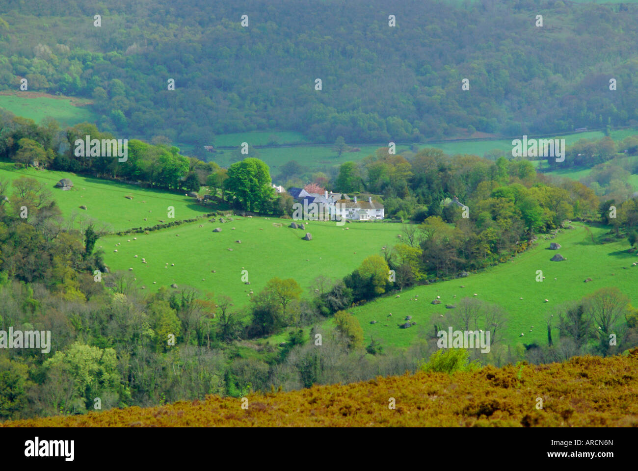 Countryside near Bovey Tracey, Devon, England, UK Stock Photo - Alamy