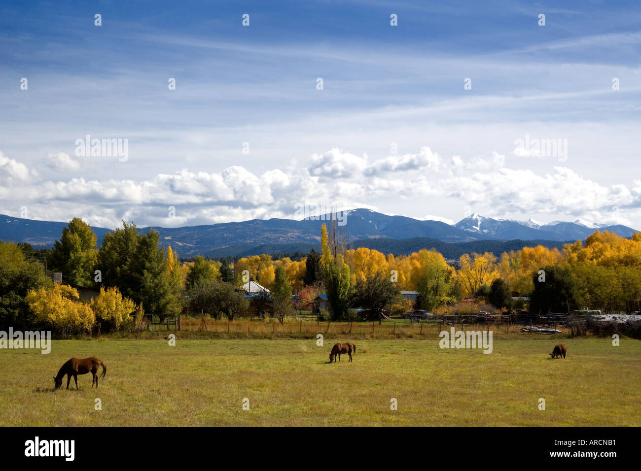 Bucolic Scene near Penasco, New Mexico Stock Photo - Alamy