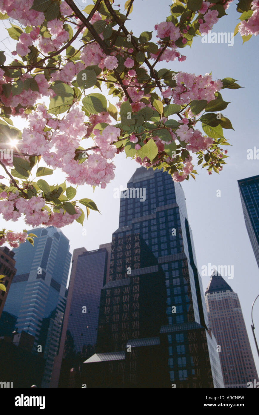 50th Street looking west to 7th Avenue, New York City, New York, United ...
