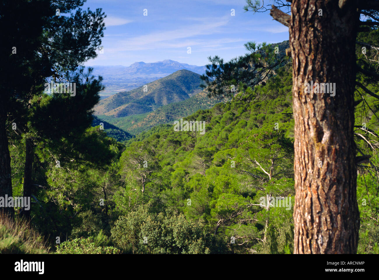Sierra de Espuna, Murcia Province, Spain, Europe Stock Photo - Alamy