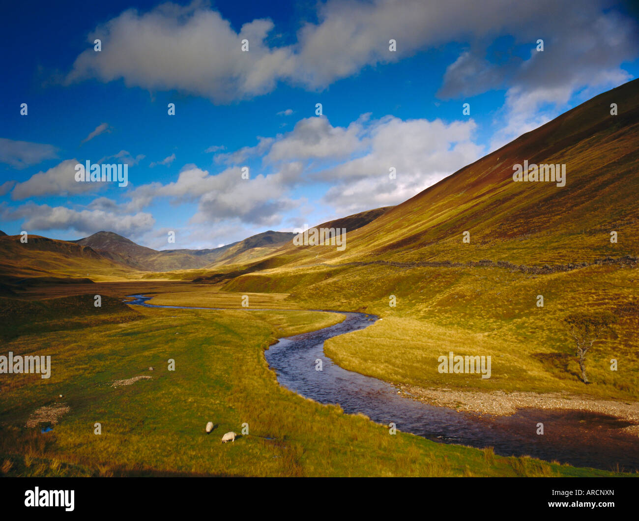 Glen Shee, Tayside, Scotland, UK, Europe Stock Photo - Alamy
