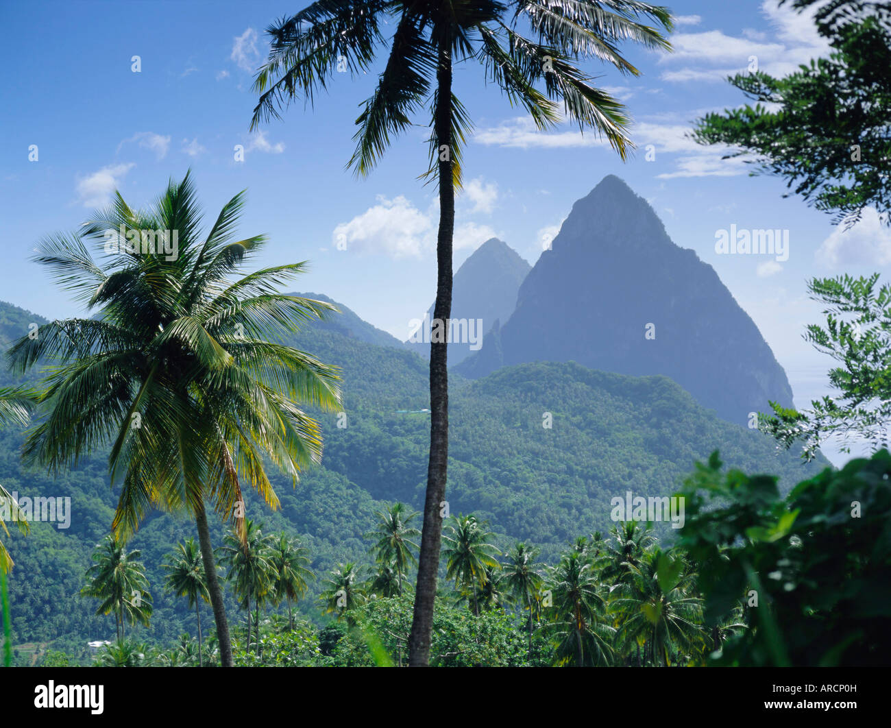The Pitons, St. Lucia, Caribbean, West Indies Stock Photo - Alamy