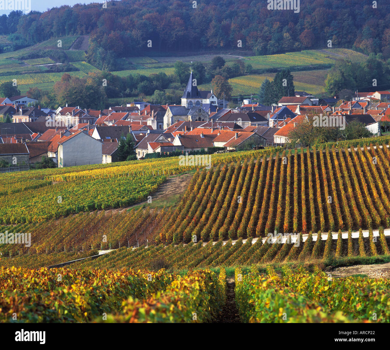 Famous producers of champagne hi-res stock photography and images - Alamy