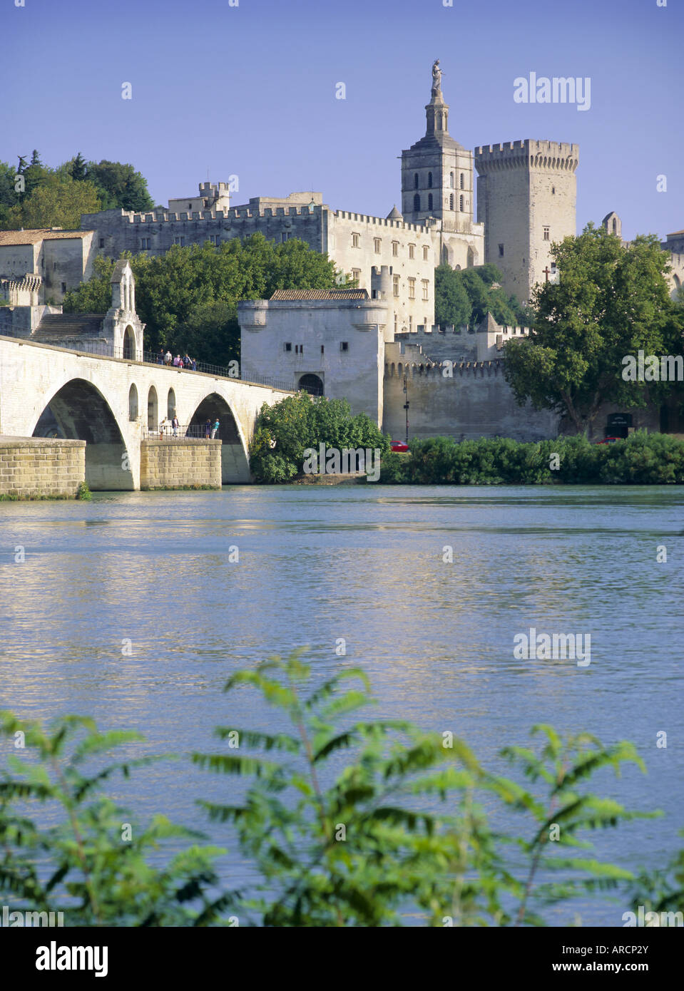 View across River Rhone to bridge and Papal Palace, Avignon, UNESCO ...