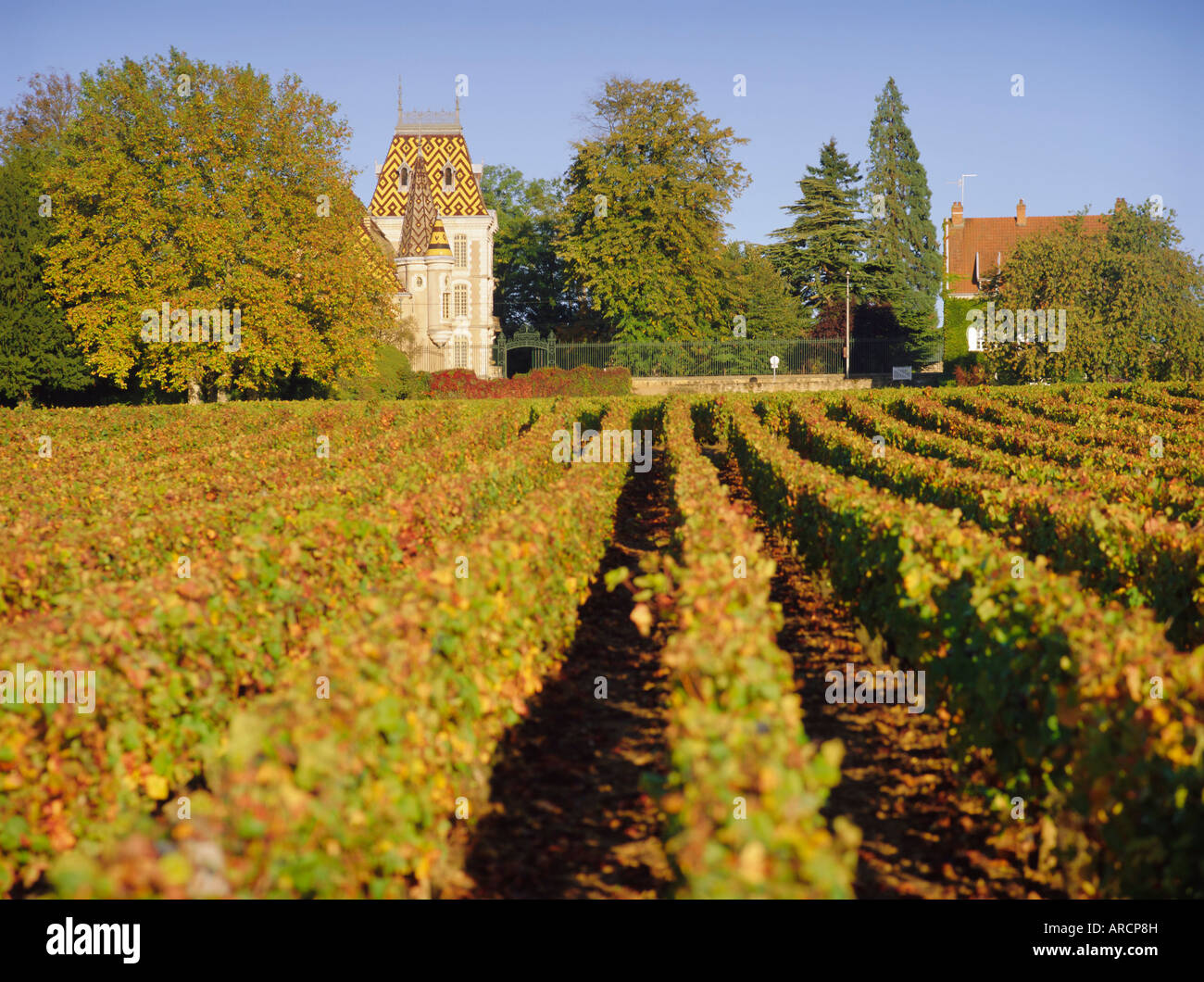 Aloxe corton cote dor france hi-res stock photography and images - Alamy