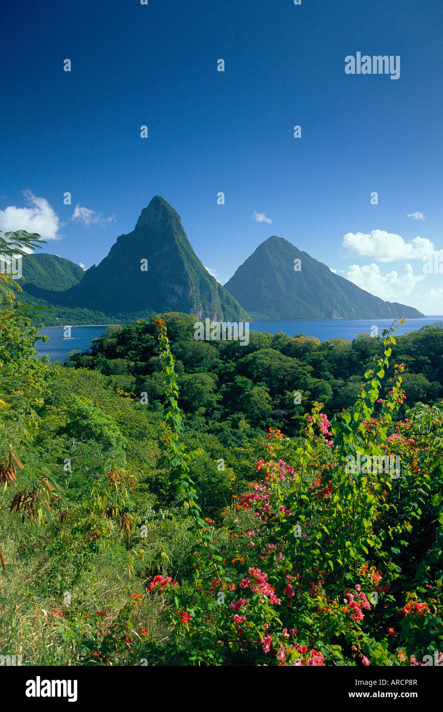St lucia pitons hi-res stock photography and images - Alamy