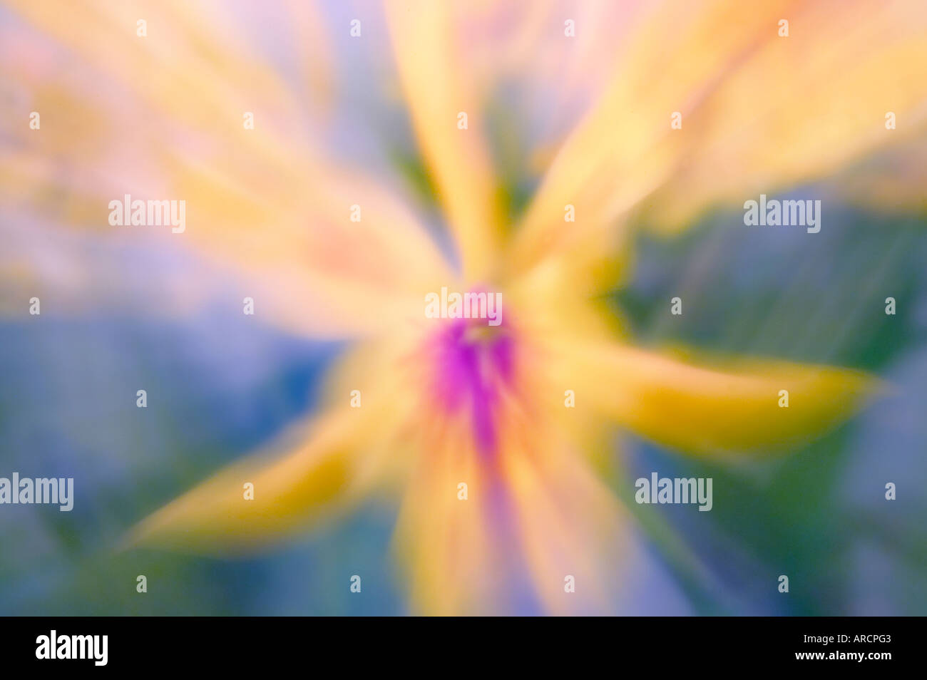 Zoom bursting hi-res stock photography and images - Alamy