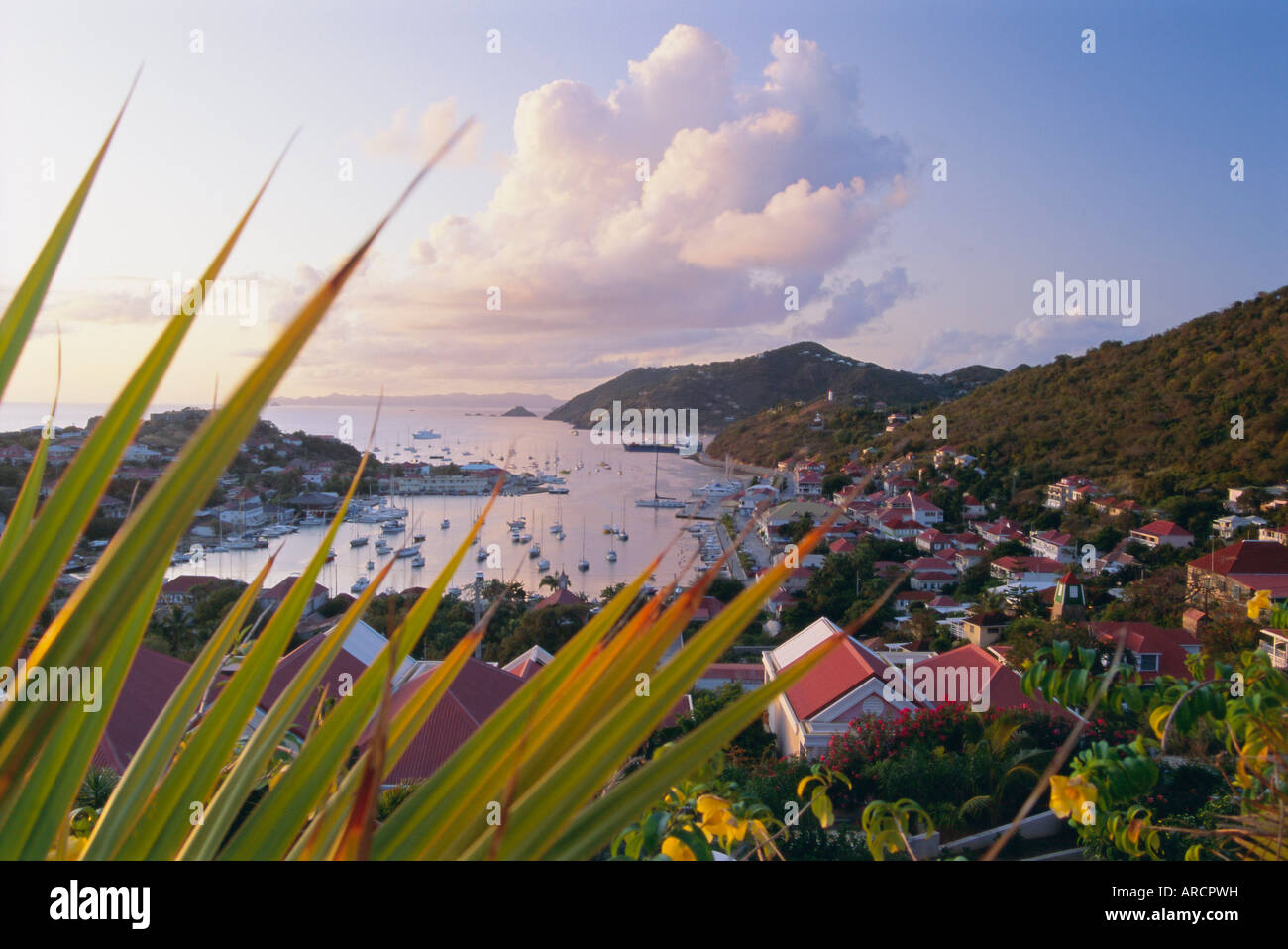 Gustavia harbour caribbean town hi-res stock photography and images - Alamy