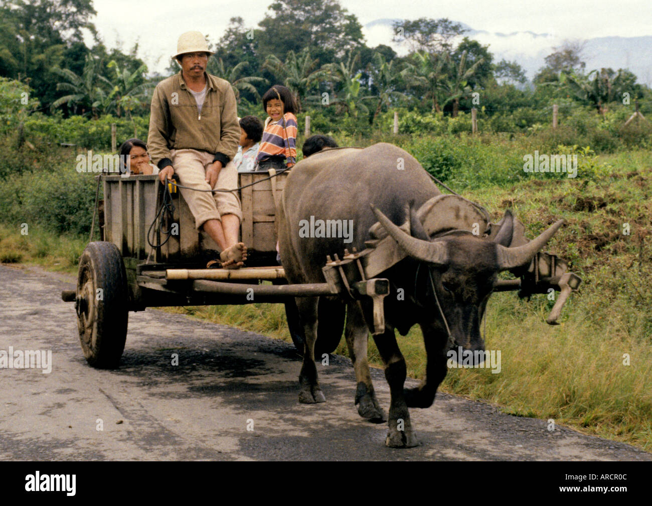 Java road hi-res stock photography and images - Alamy