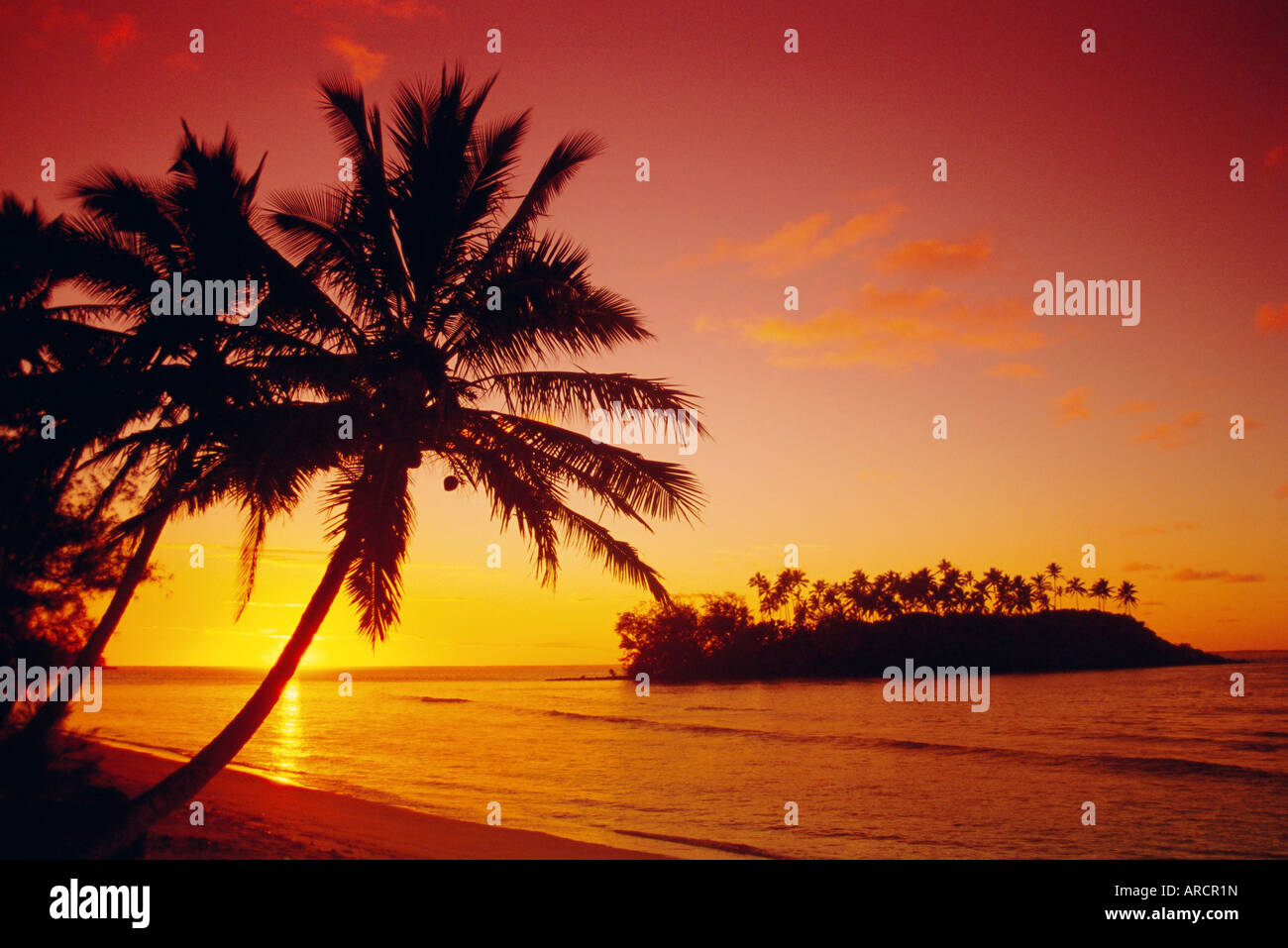 Silhouette of palm trees and desert island at sunrise, Rarotonga, Cook ...