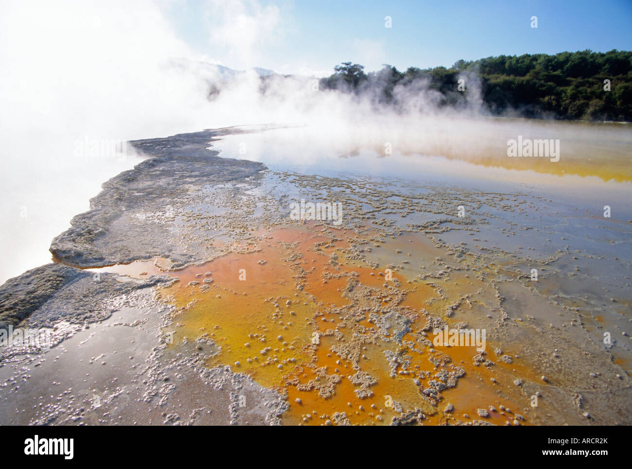 Champagne Pools steaming, Waiotapu thermal reserves, Rotorua, North ...