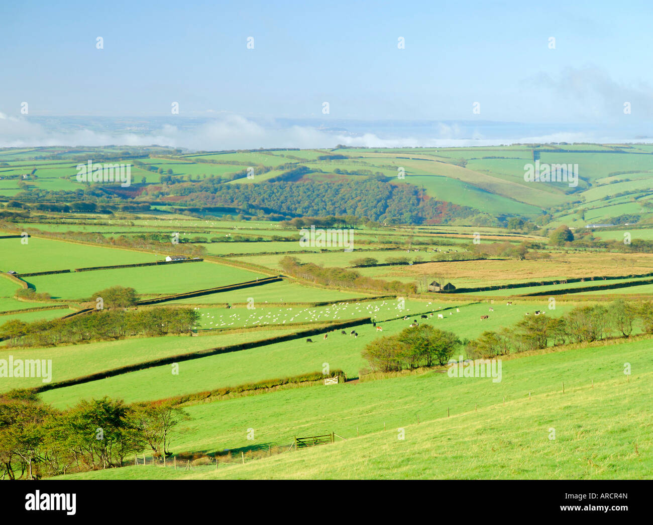 Challacombe common hi-res stock photography and images - Alamy