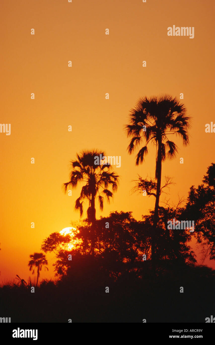 Delta moon hi-res stock photography and images - Alamy