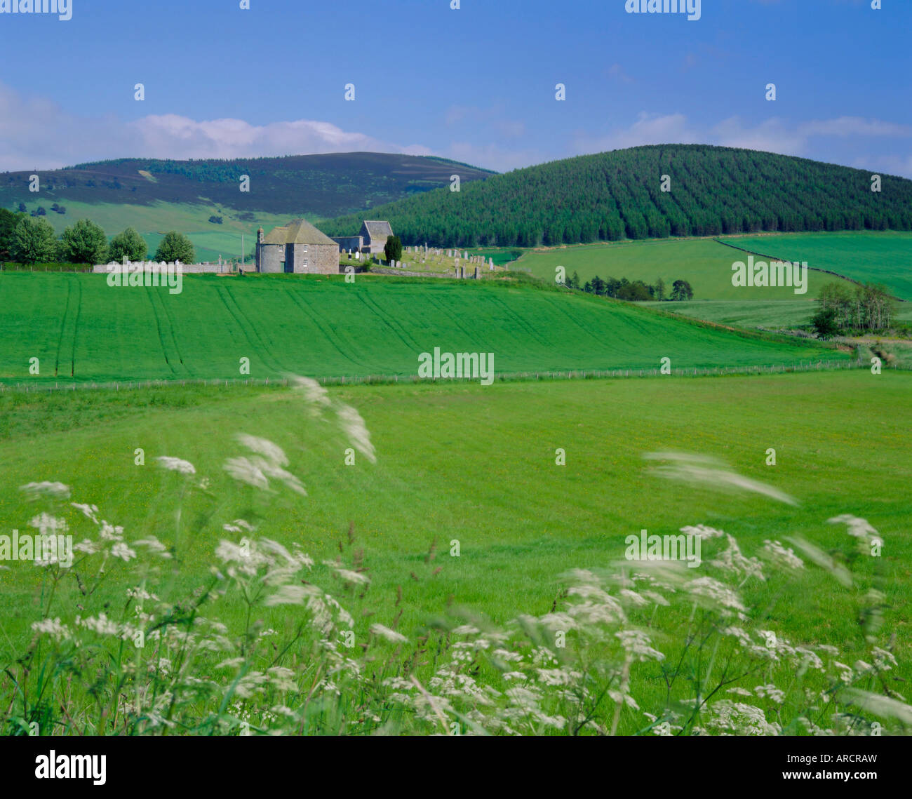 Grampians Scotland Forest High Resolution Stock Photography and Images ...