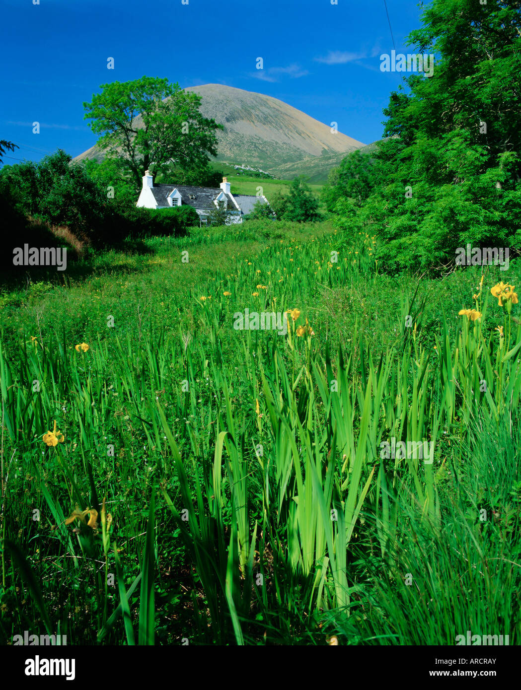 Torrin house hi-res stock photography and images - Alamy