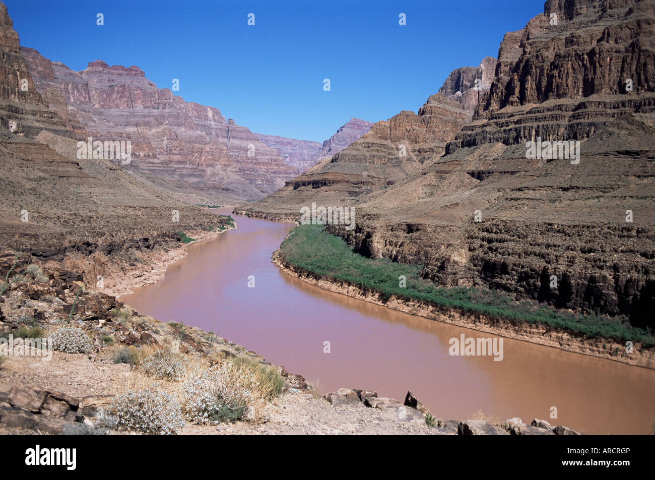 Grand Canyon Gorge, Las Vegas, Nevada, United States of America (U.S.A ...