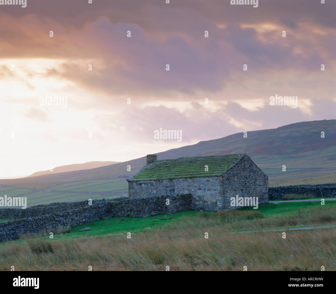 Farm building, Swaledale, Yorkshire Dales National Park, Yorkshire ...