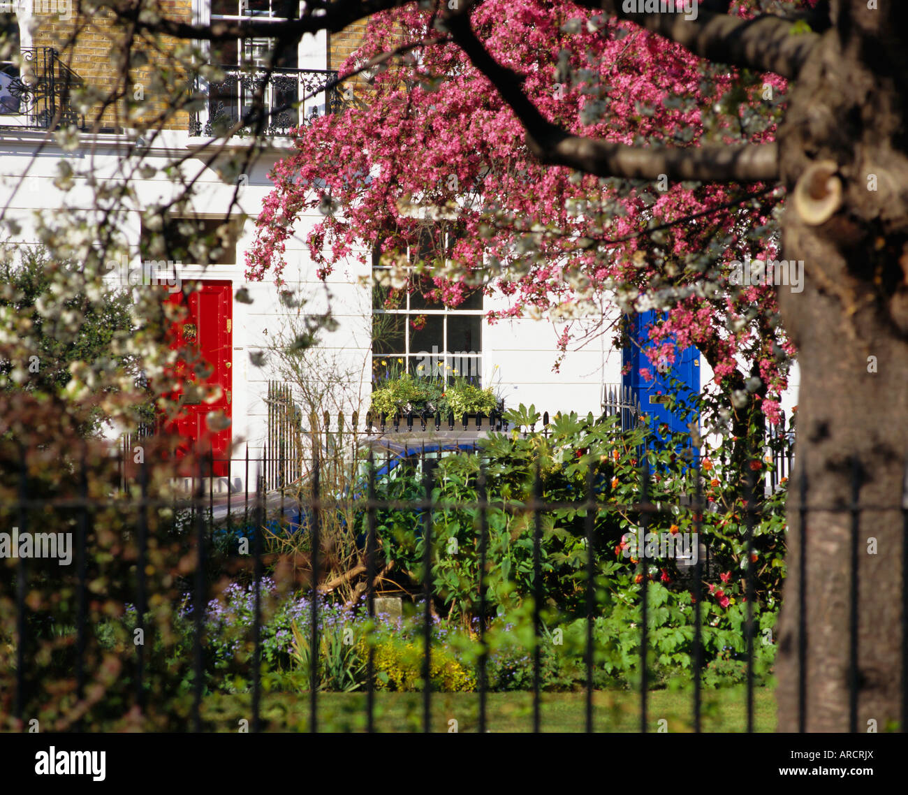 Markham Square, Chelsea, London, England, UK Stock Photo - Alamy