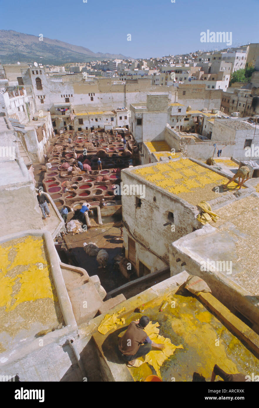 The tanneries, Fez (Fes), Morocco, North Africa, Africa Stock Photo - Alamy