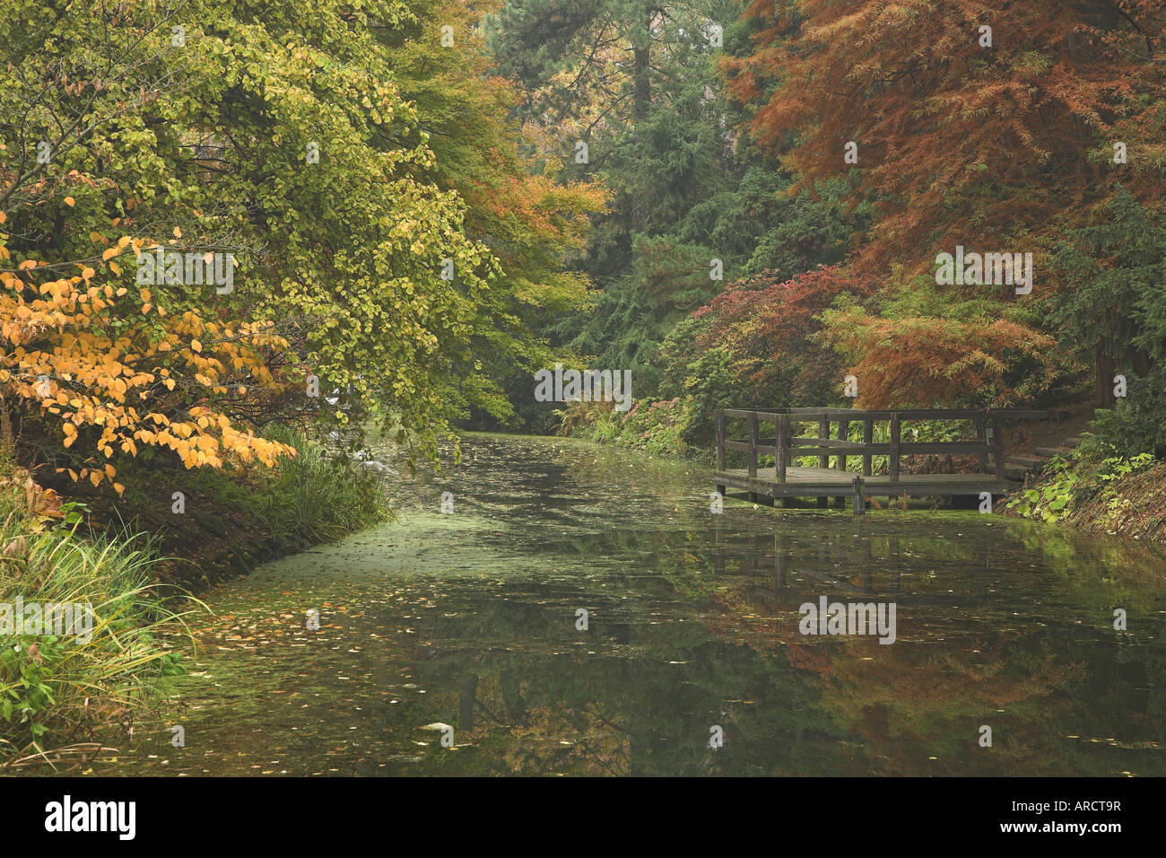 Quiet water in autumn Stock Photo - Alamy