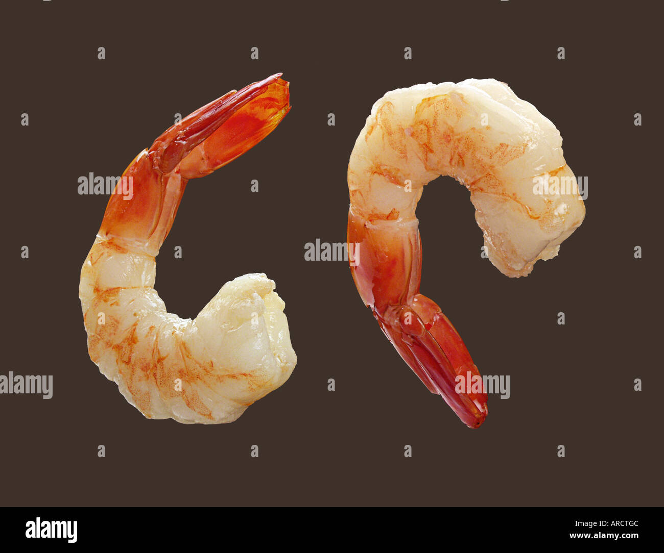 Two Shrimp Isolated Stock Photo - Alamy