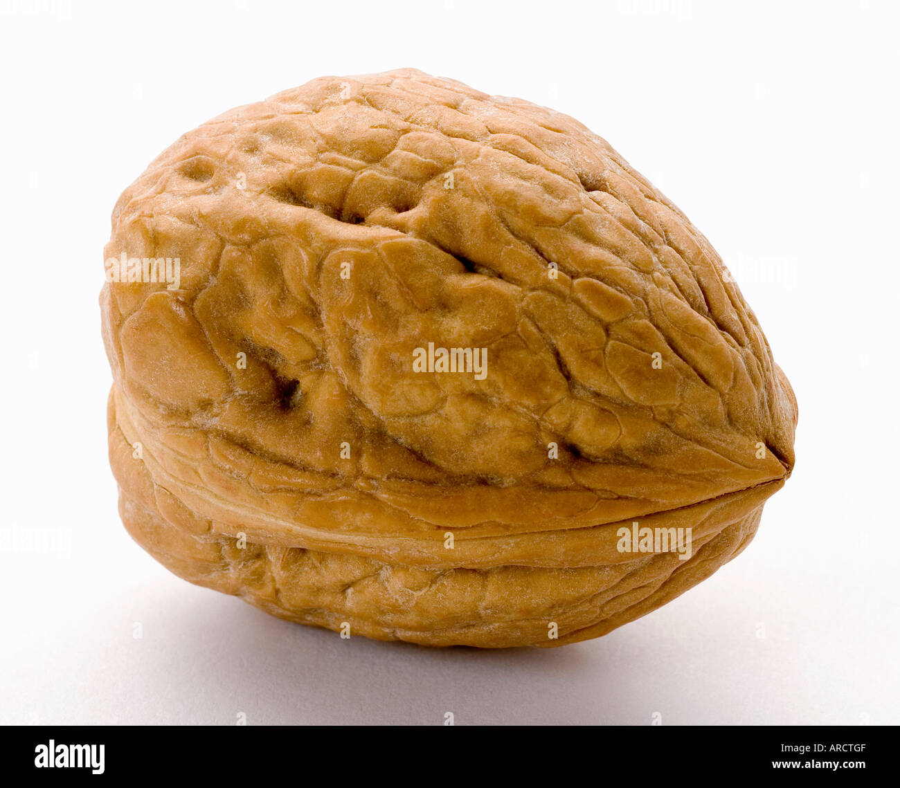 Very walnut hi-res stock photography and images - Alamy