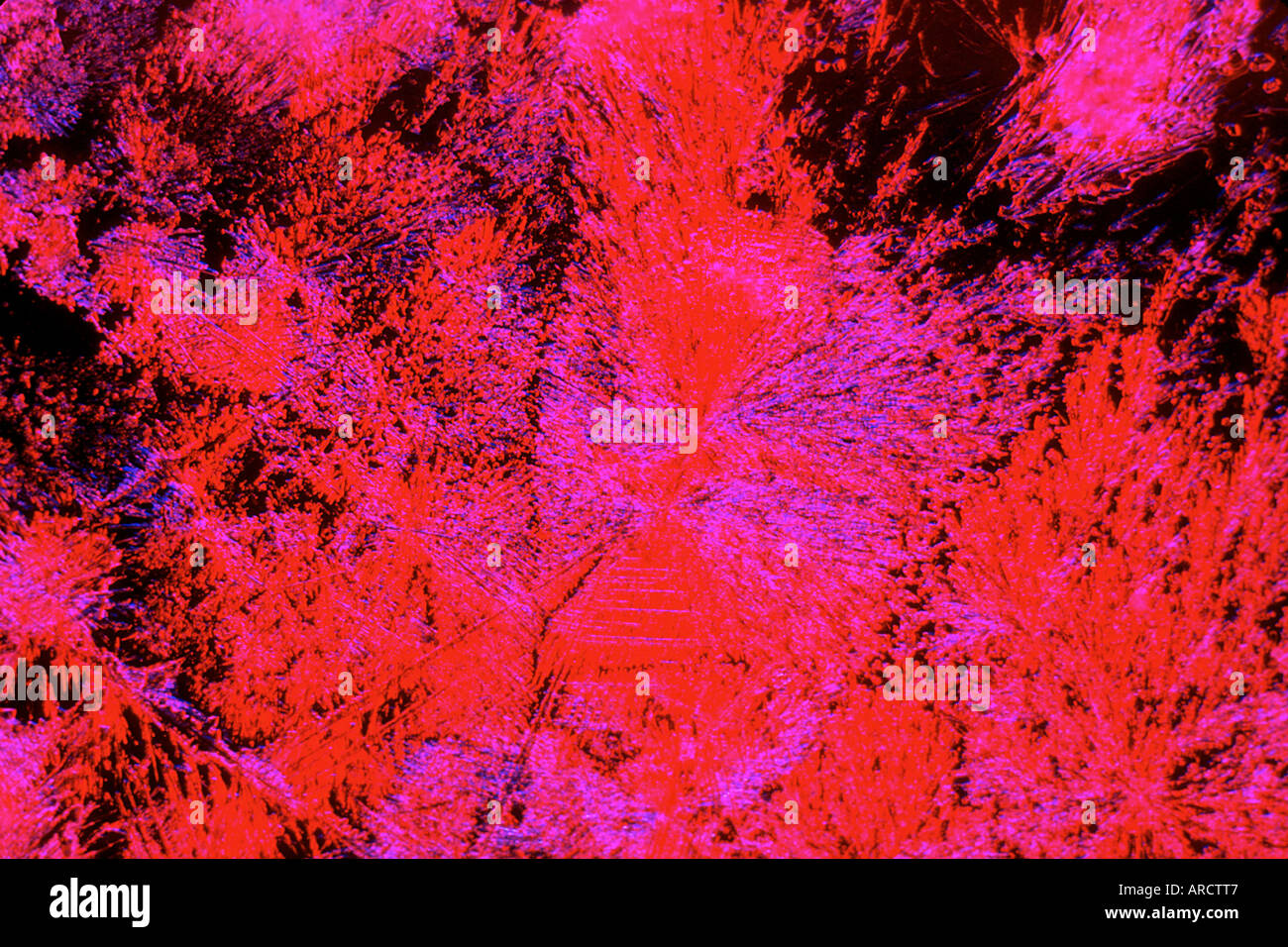 This image shows cisplatin crystals, which is a platinum compound, and ...