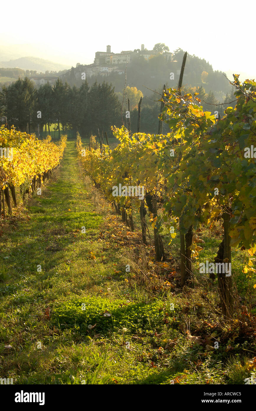 Tuscany and Umbria border Autumn Fall Stock Photo - Alamy