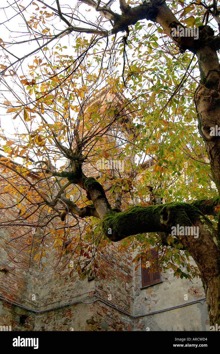 Citerna Clock tower Autumn Stock Photo - Alamy