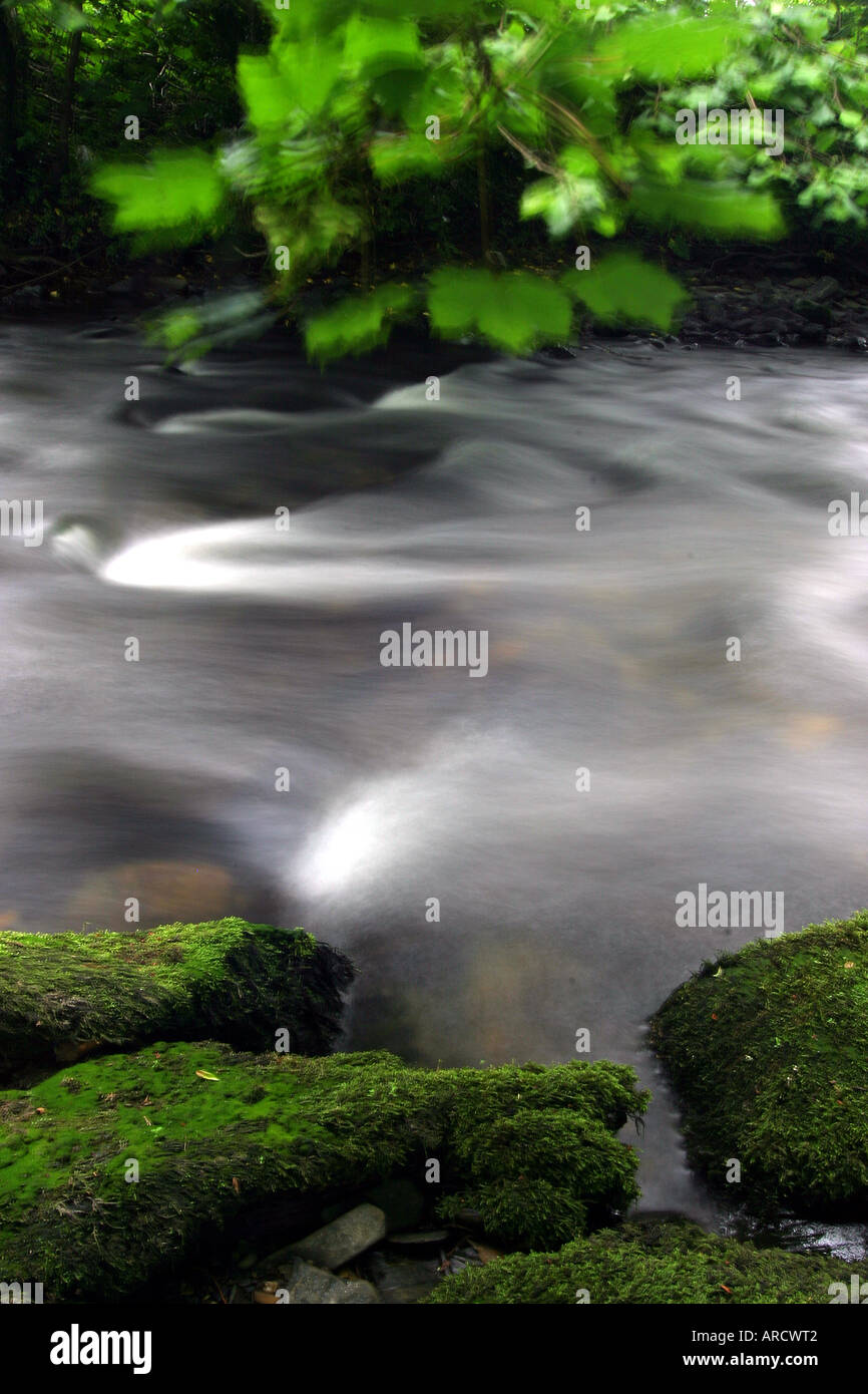 River afon gwili hi-res stock photography and images - Alamy